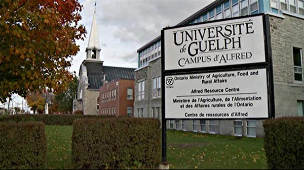 Time for action in Alfred - The Review Newspaper