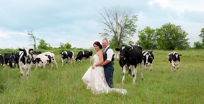 Married on the farm: Wedding brings together two local farm families ...