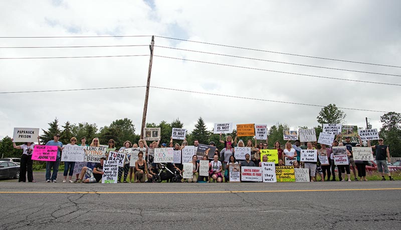 Video sparked a protest and outrage on social media - The Review Newspaper