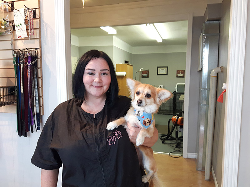 Positively perfect career move for owner of "Pawsitively Perfect Pets ...