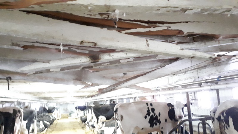 Barn roof collapses in Chute-à-Blondeau; farmer, livestock okay - The ...