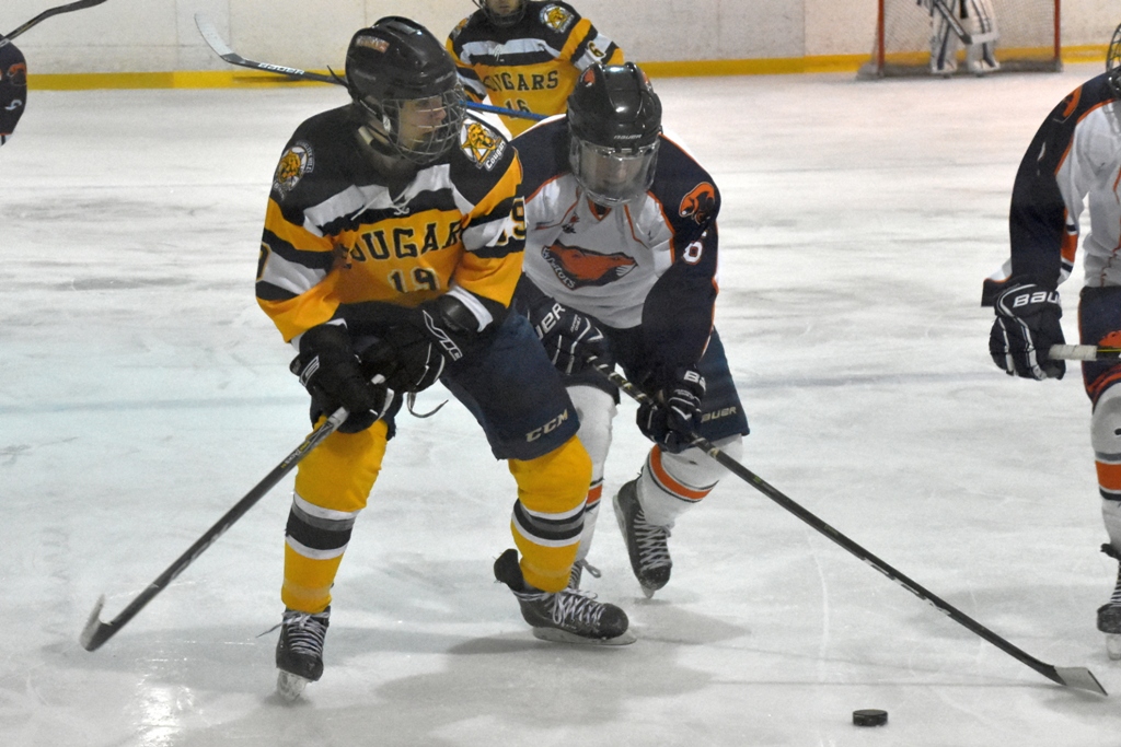 A perfect week for the Cougars - The Review Newspaper