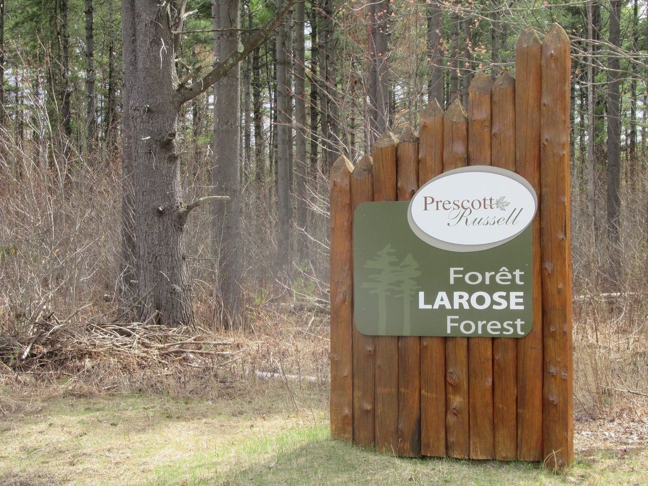 Trails in Larose Forest open - The Review Newspaper