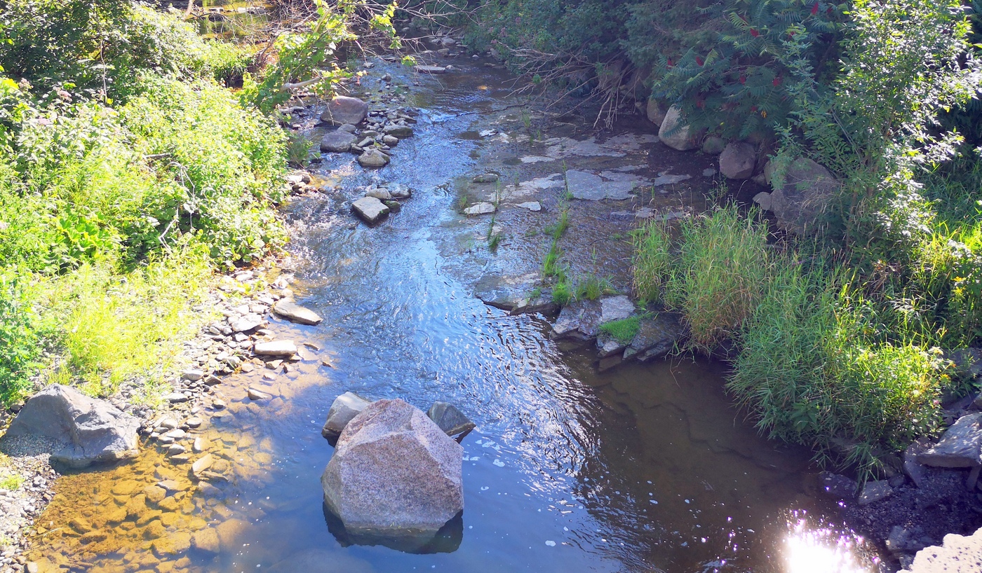 Low water conditions continue throughout Eastern Ontario - The Review ...